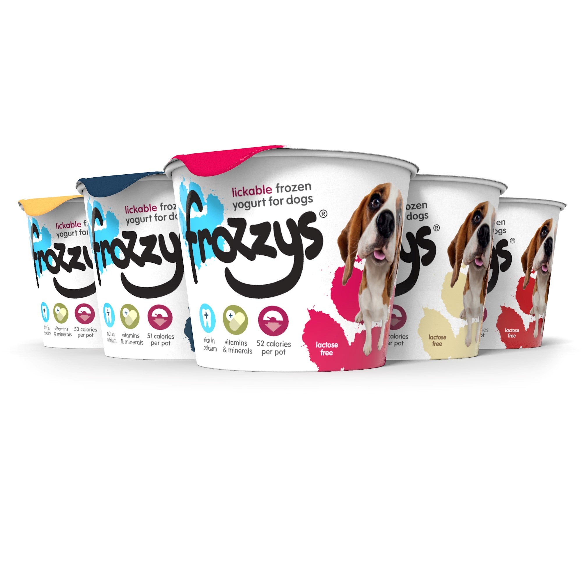 Frozzys Frozen Yogurt