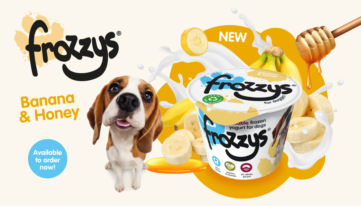 Frozzys – Naturally Nutritious Treats For Dogs