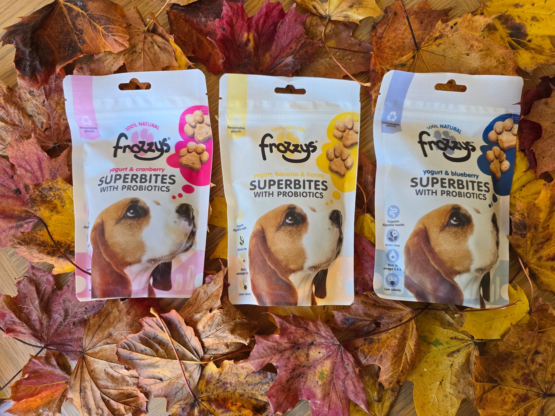 Frozzys – Naturally Nutritious Treats For Dogs