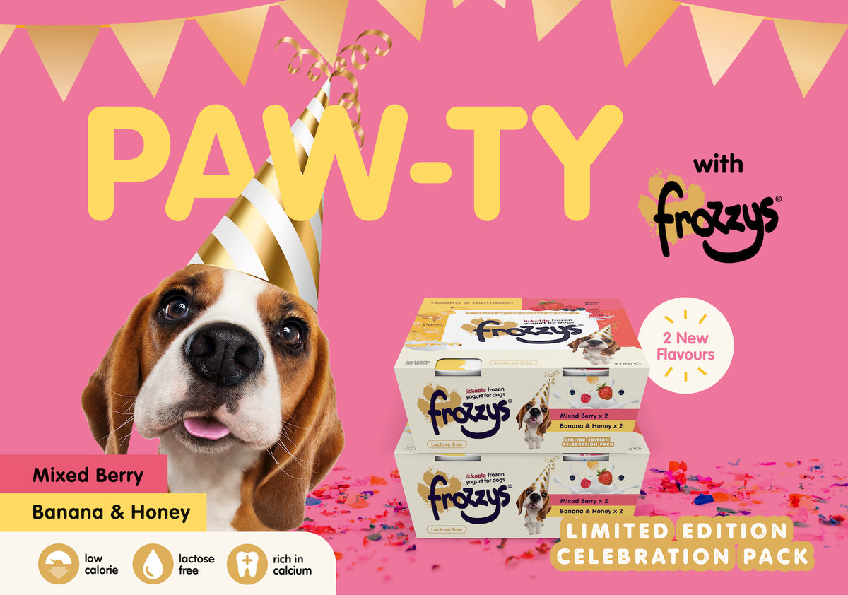 Frozzys - Award-Winning Healthy and Nutritious Treats
