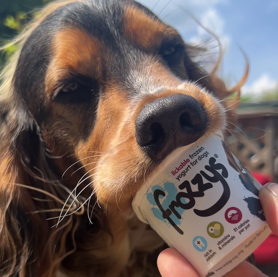 Frozzys – Naturally Nutritious Treats For Dogs