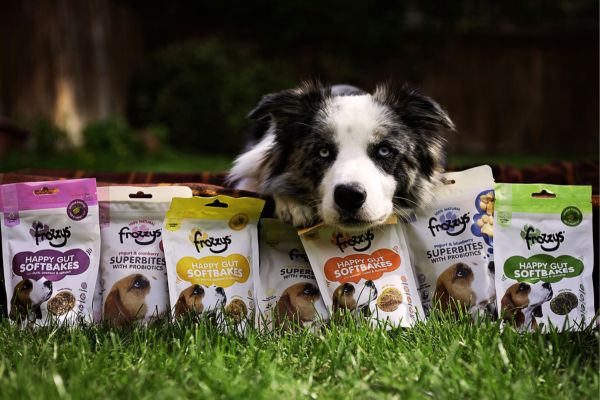 Frozzys – Naturally Nutritious Treats For Dogs