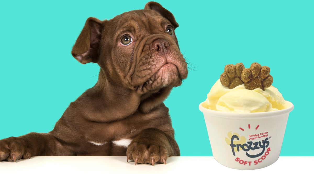 Frozzys - Award-Winning Healthy and Nutritious Treats