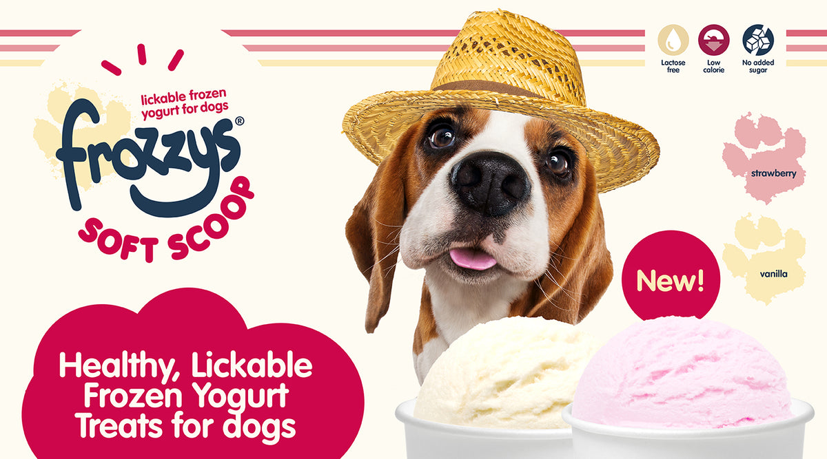 Frozzys - Award-Winning Healthy and Nutritious Treats