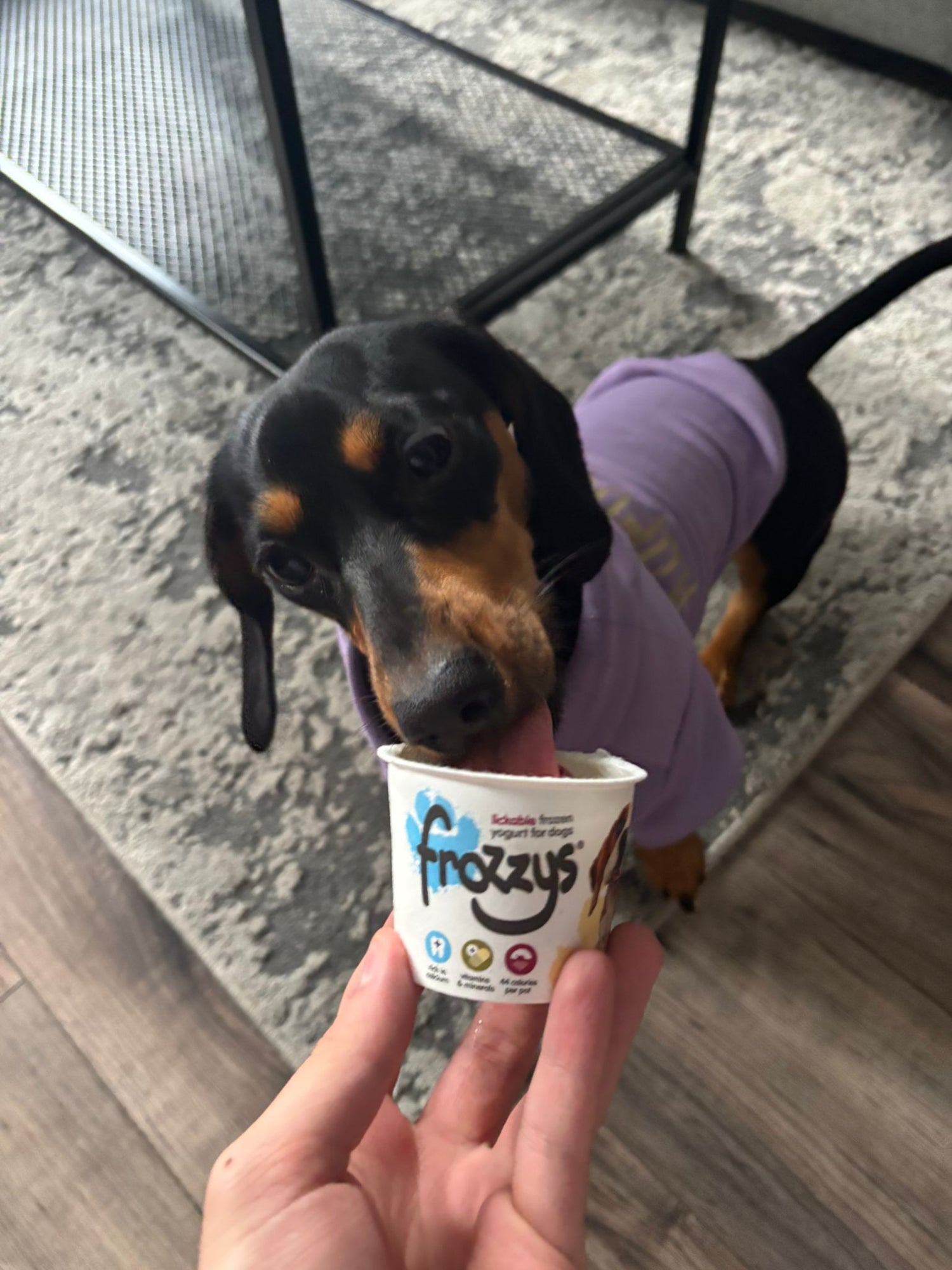 Frozzys – Naturally Nutritious Treats For Dogs
